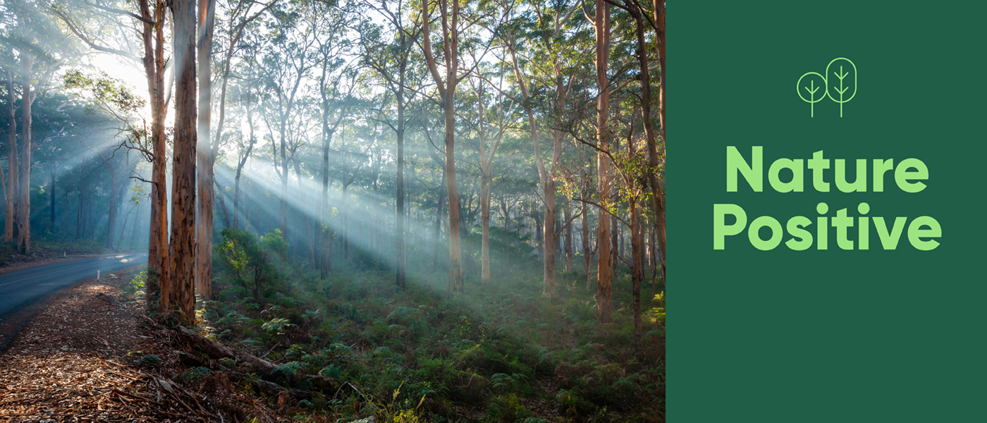 WWF Australia | Protecting Wildlife and their Habitat | | WWF Australia