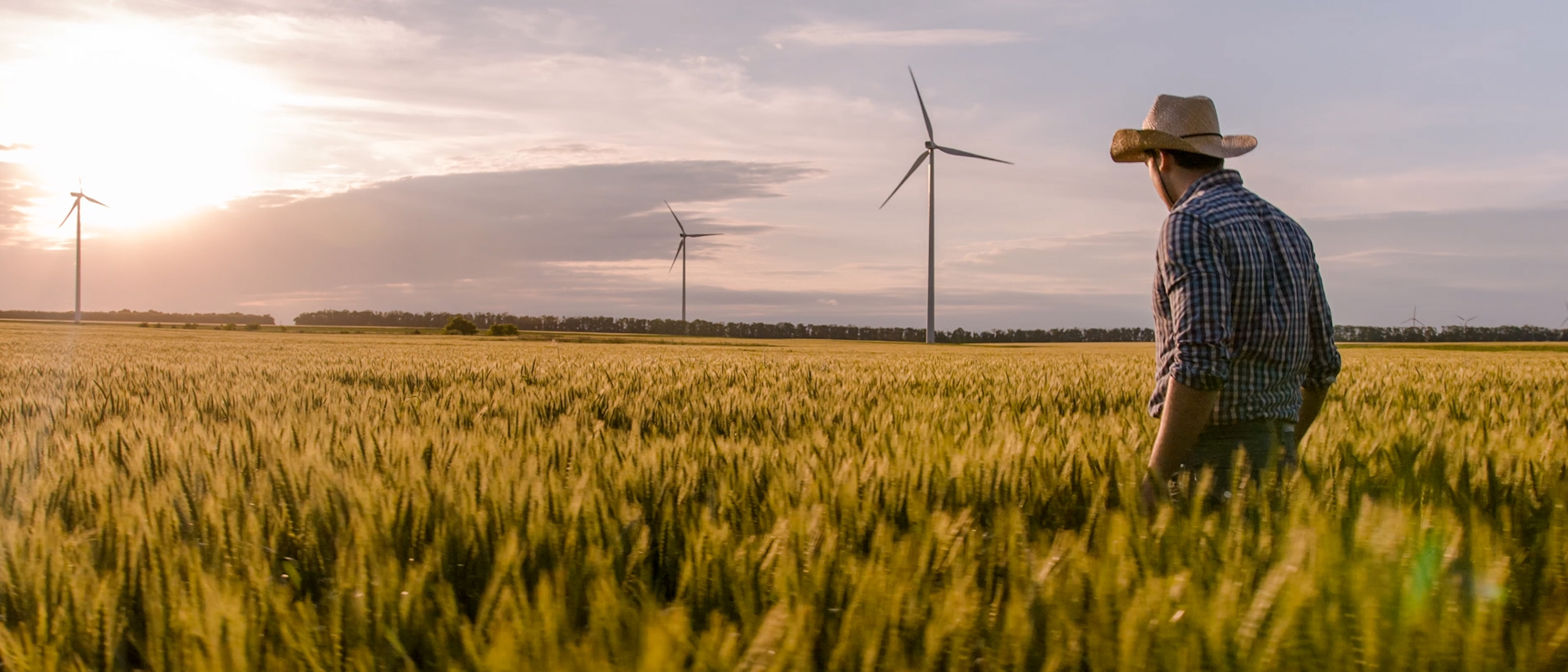 Regenerative Sky - WWF-Australia | Regenerative Sky (Climate) | WWF ...