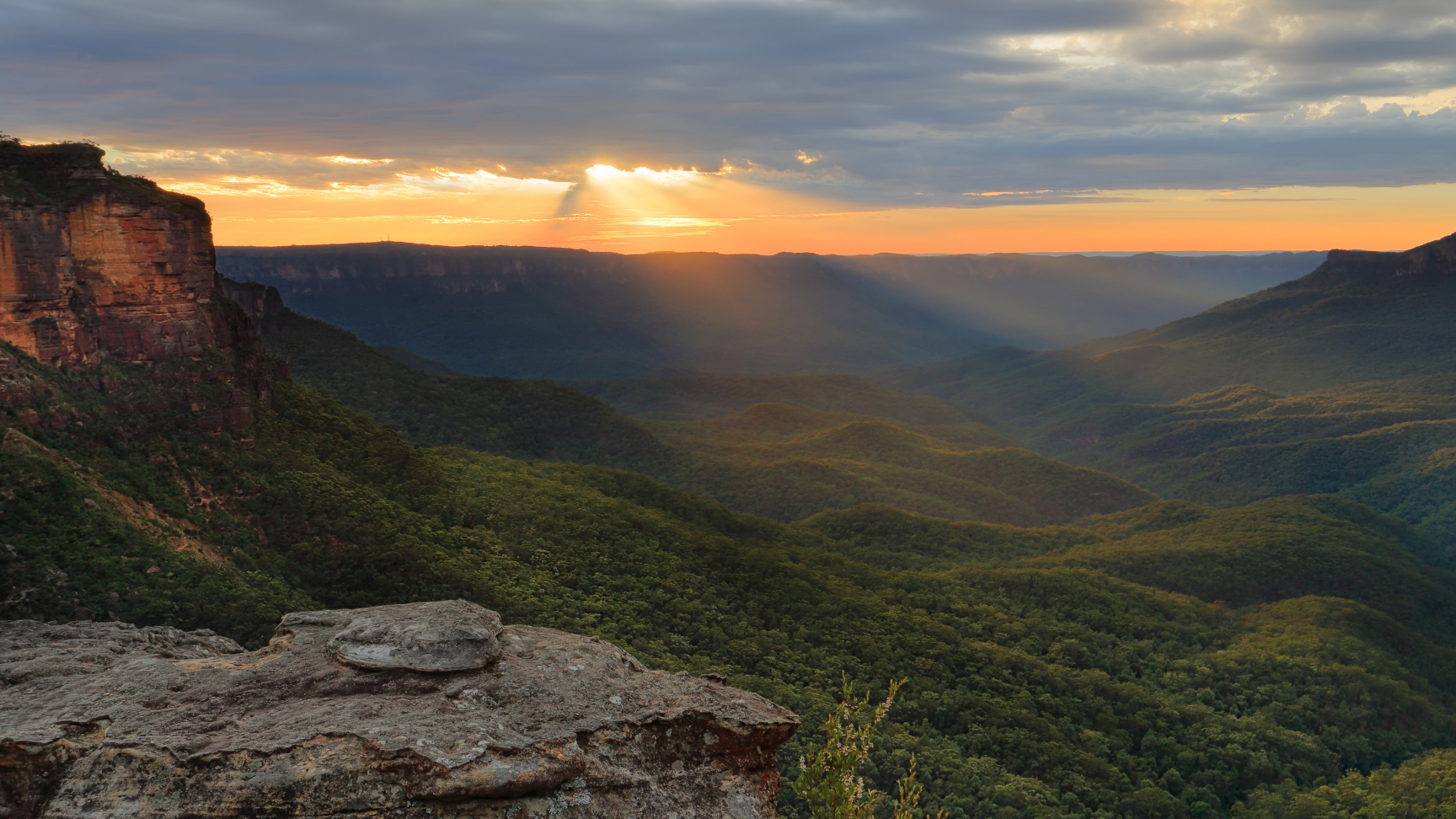 We All Need Trees | WWF-Australia | We All Need Trees | WWF Australia