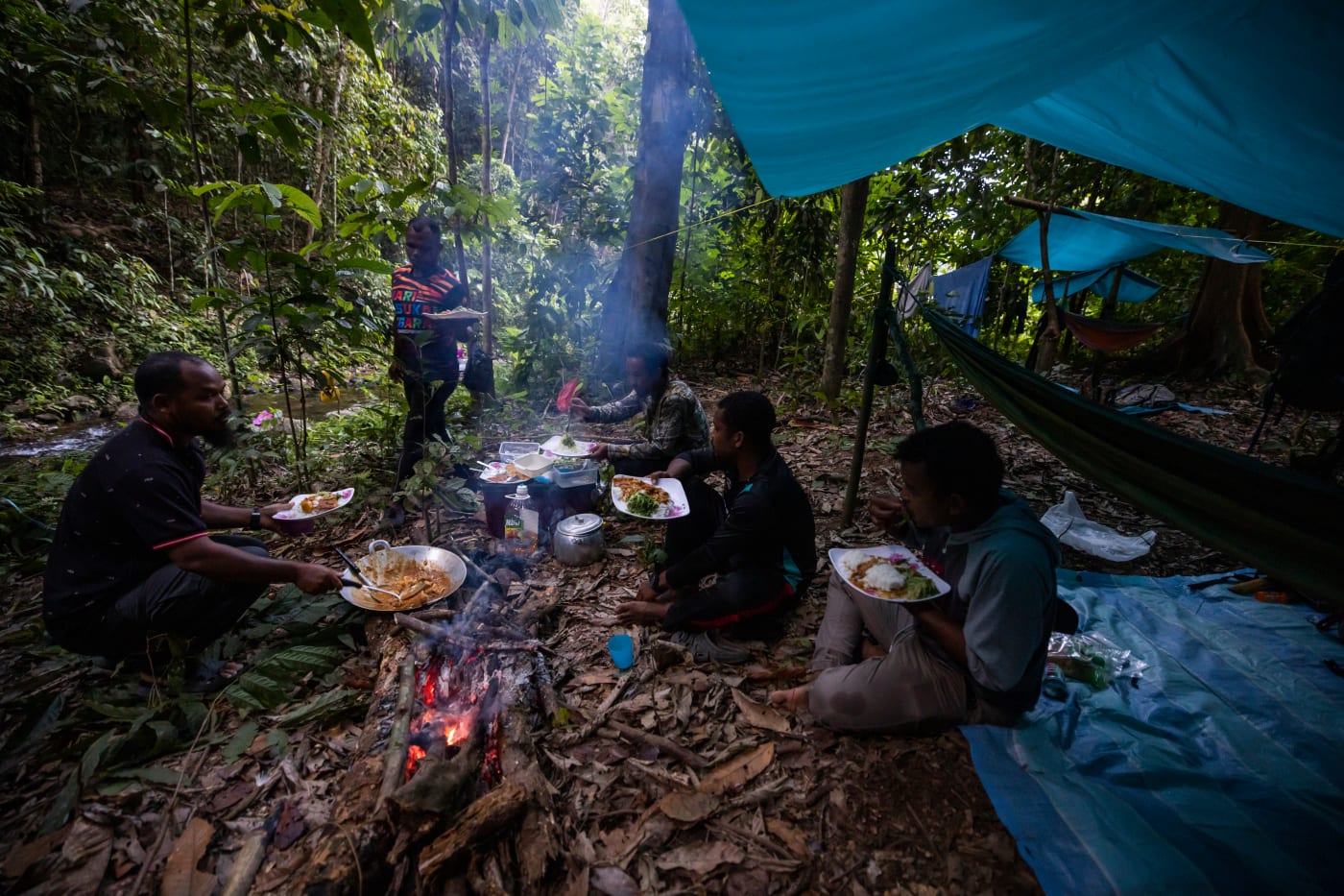 What's at stake: a glimpse into Malaysia's rare biodiversity | What's ...