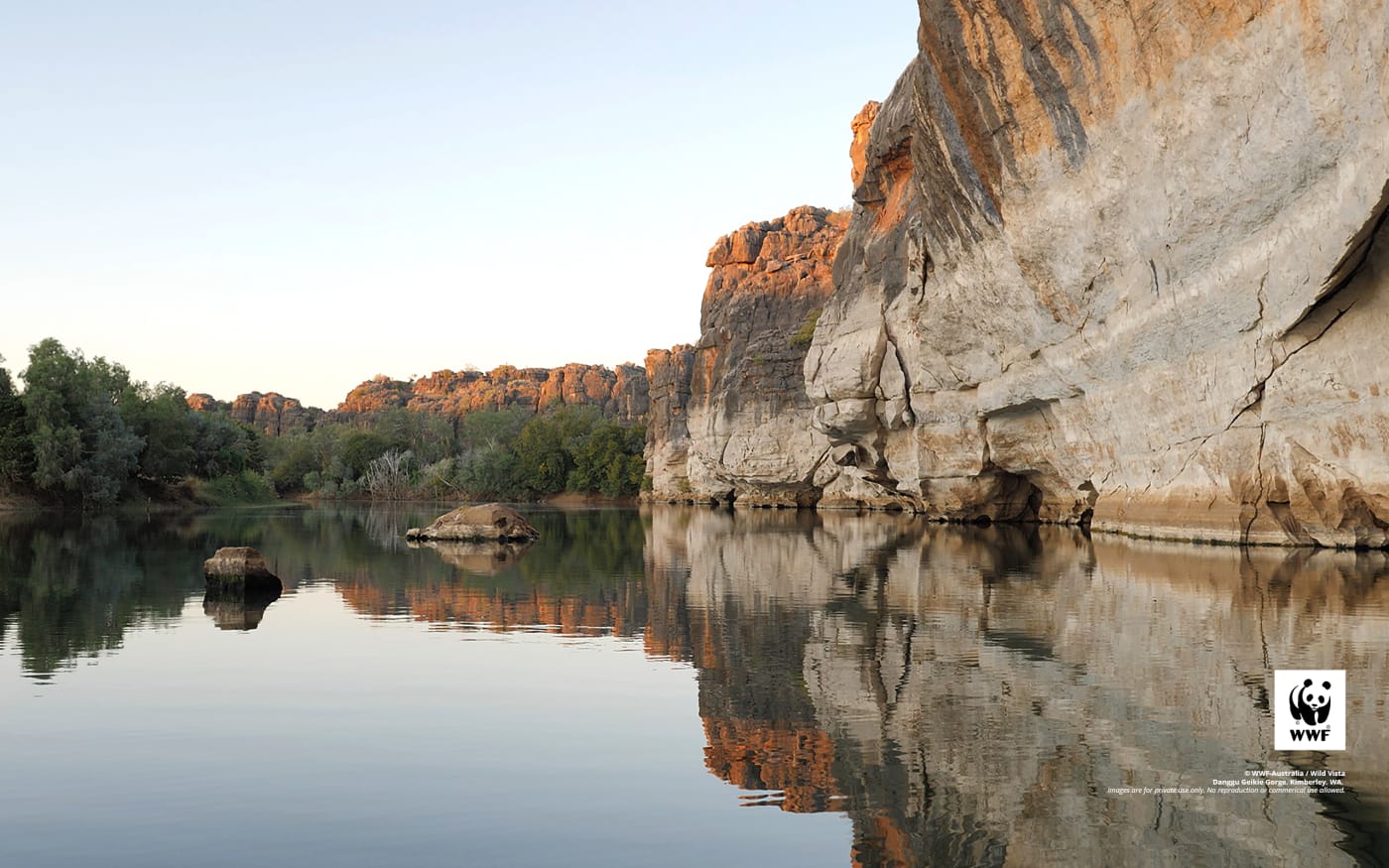 Free nature wallpapers | WWF Australia
