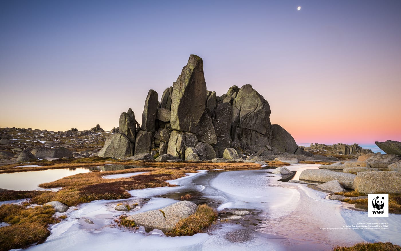 Free nature wallpapers | WWF Australia