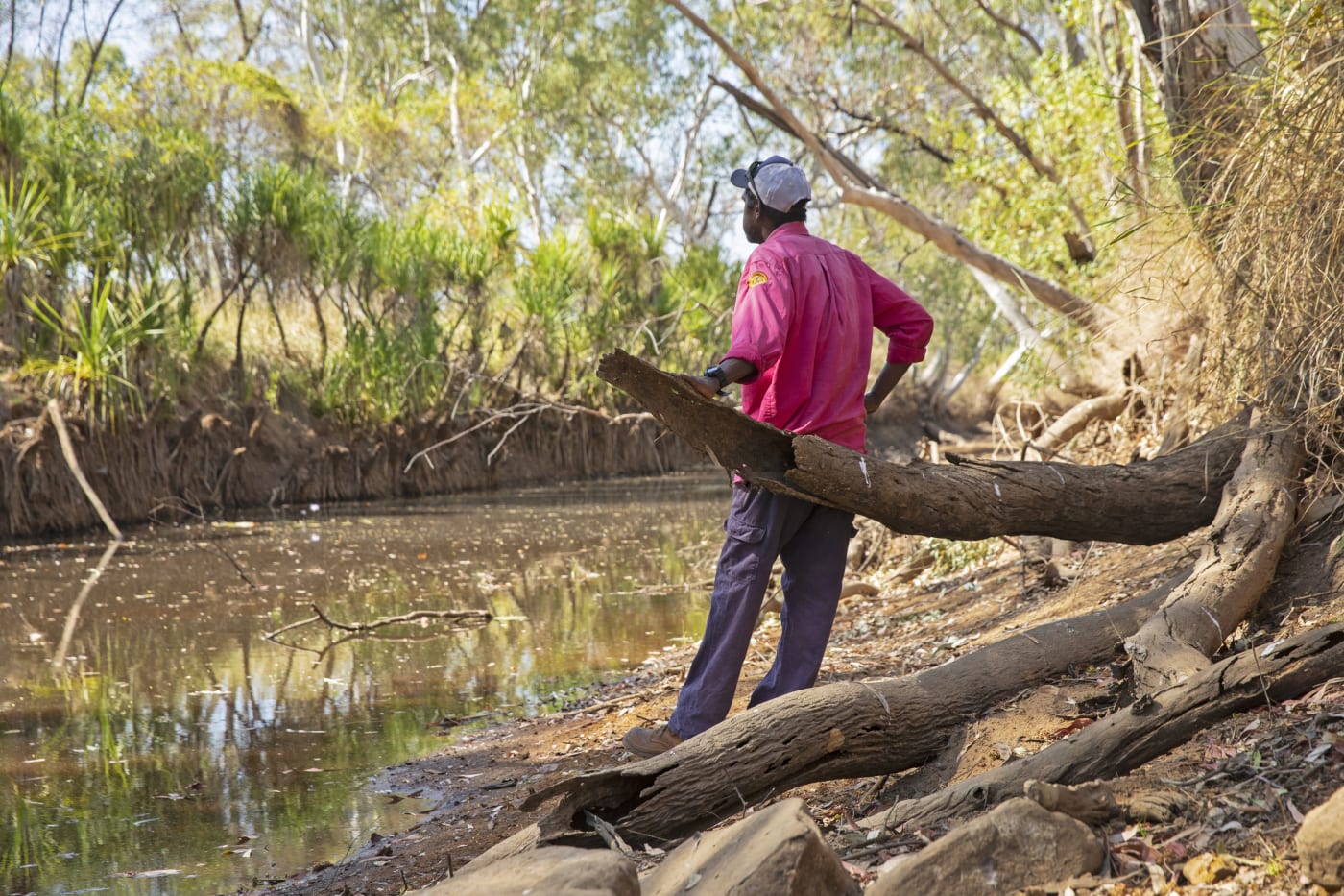Traditional methods meet camera technology to recover Wilinggin Country ...