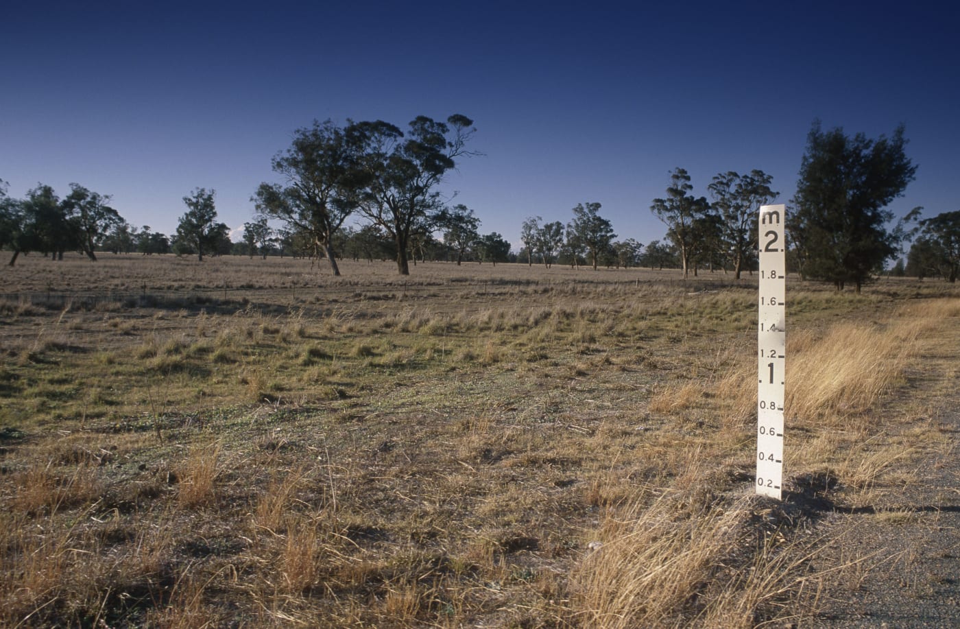Discover the world of the Plains-wanderer, one of Australia's rarest ...