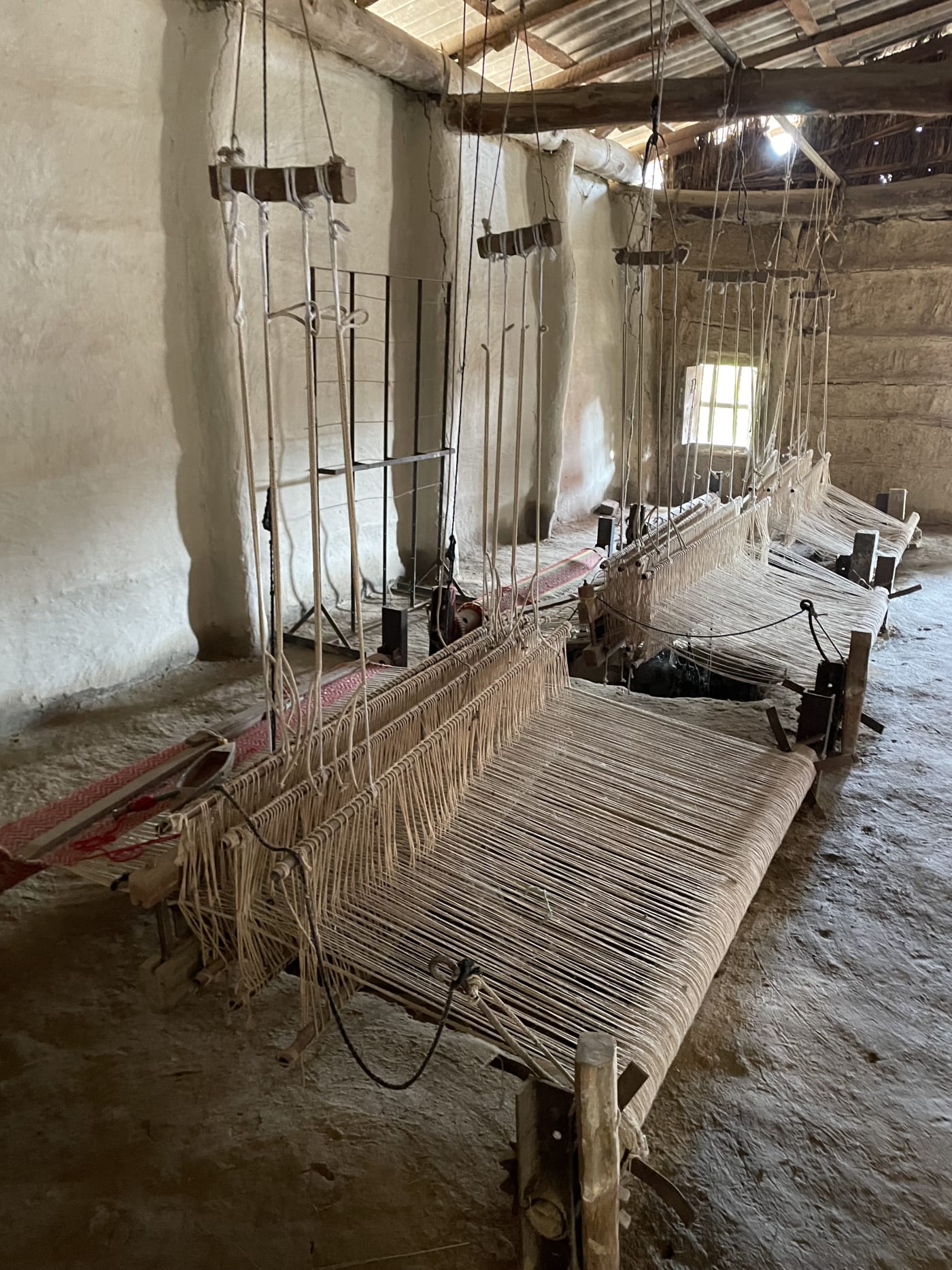 Gender Equity, Disability and Social Inclusion - WWF-Australia | Gender ...