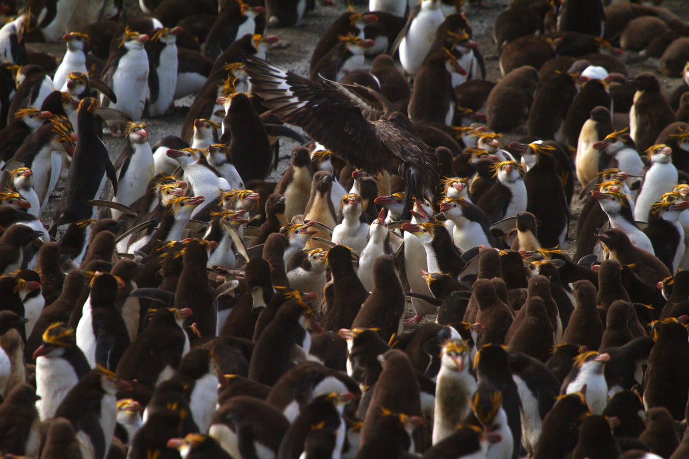 Oceans | WWF Australia