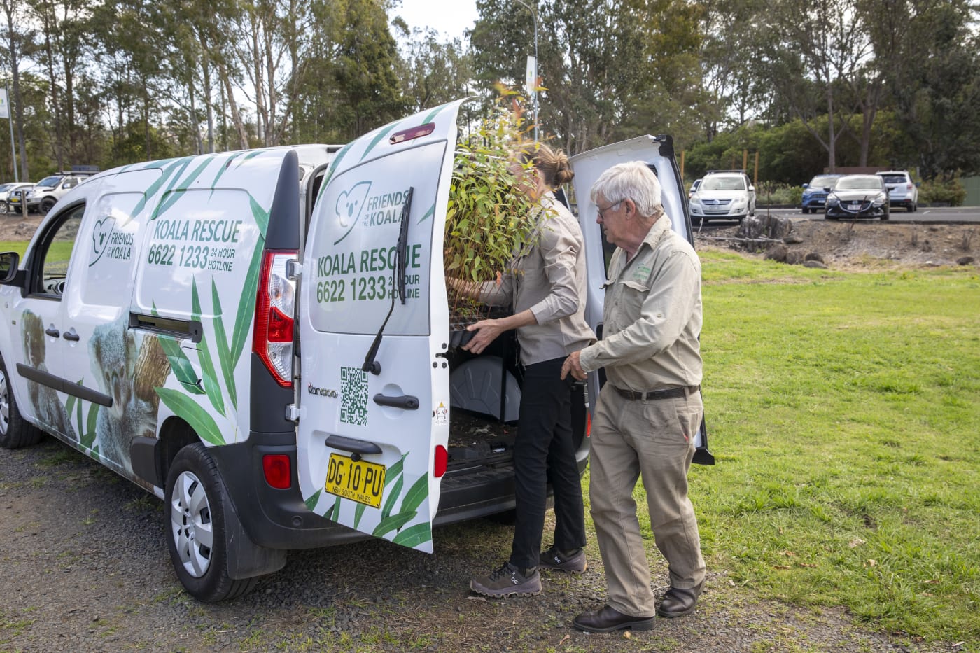 The driving force for Northern Rivers koalas: partnerships | A new ...