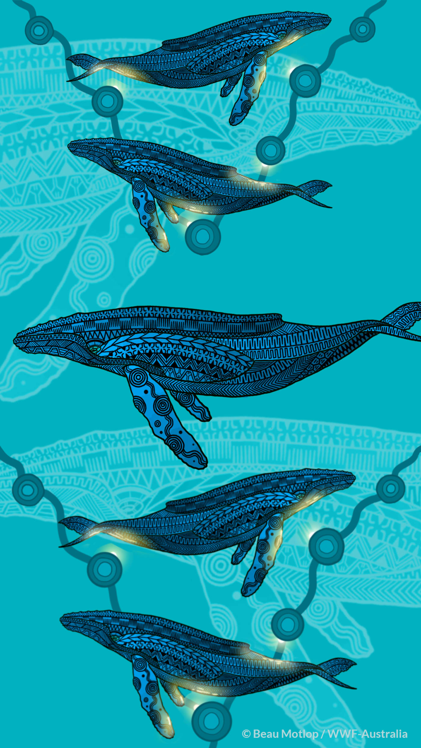 Celebrate your love for whales with these very special Indigenous whale ...