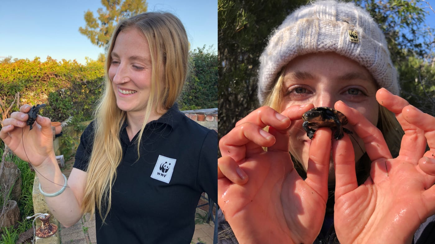 Humans on Mars, turtles on the move – WWF-Australia | Humans on Mars ...