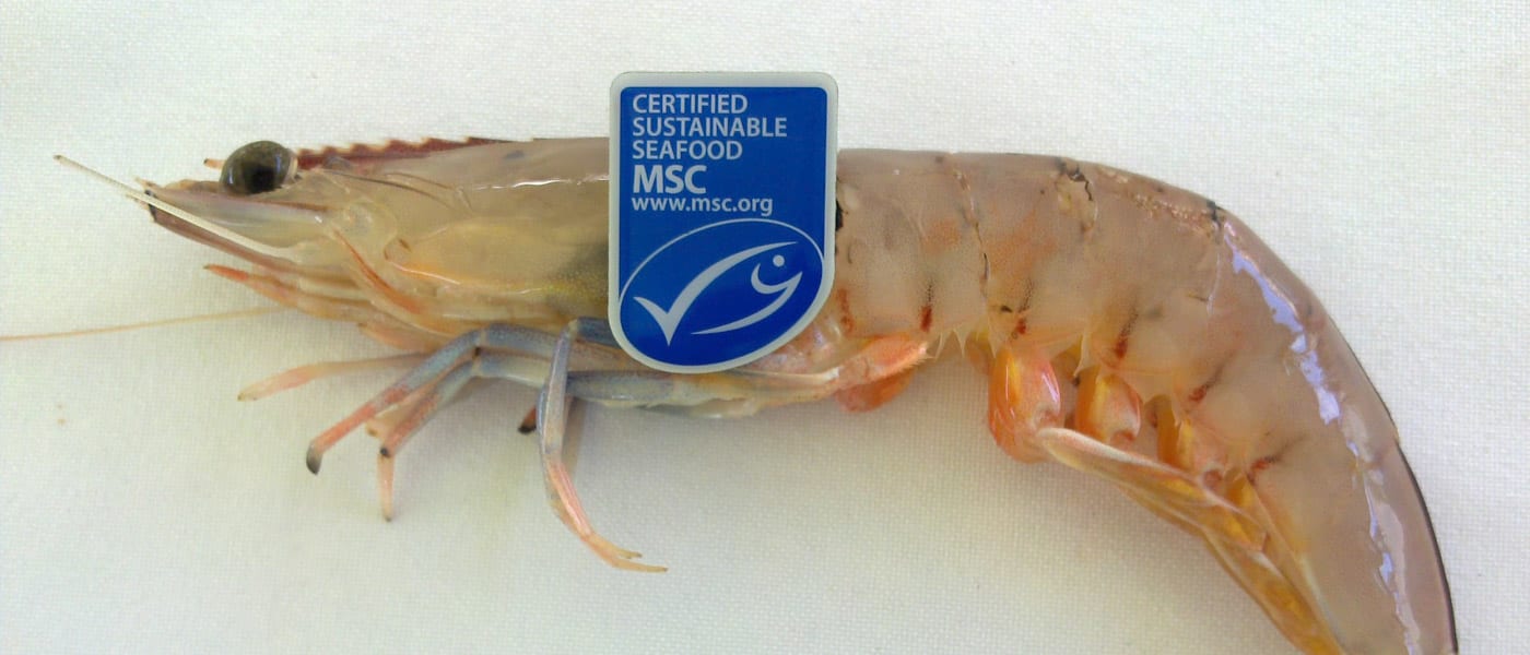 Farmed Seafood | WWF Australia