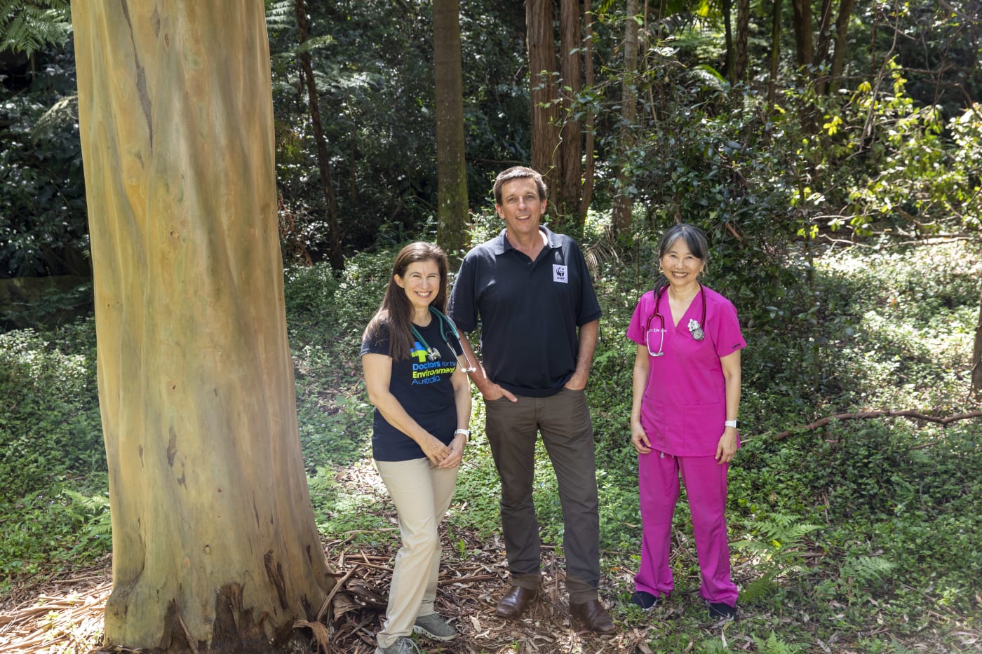 AI helps protect Australian wildlife in fire-affected areas – WWF ...