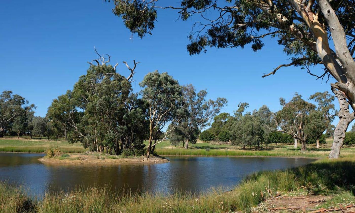 5 big ideas: how Australia can tackle climate change while restoring ...