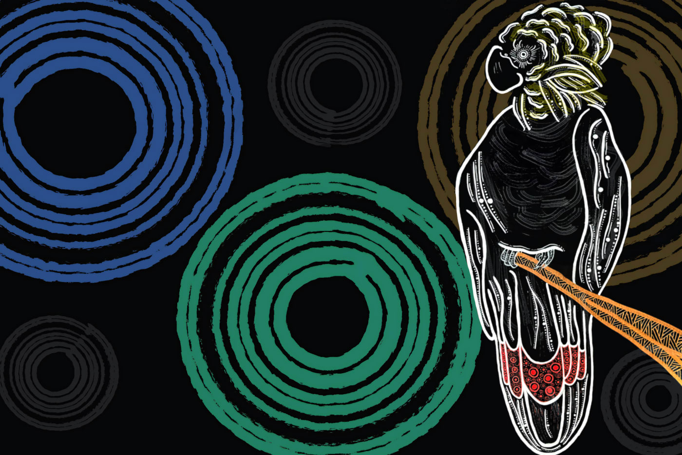 Why the Glossy Black Cockatoo is so special to Indigenous Australians ...