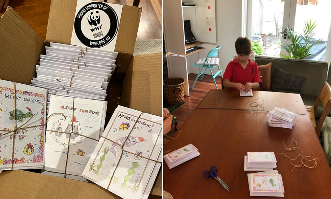 Little Supporter, Big Heart: Saving turtles with Noah – WWF-Australia ...