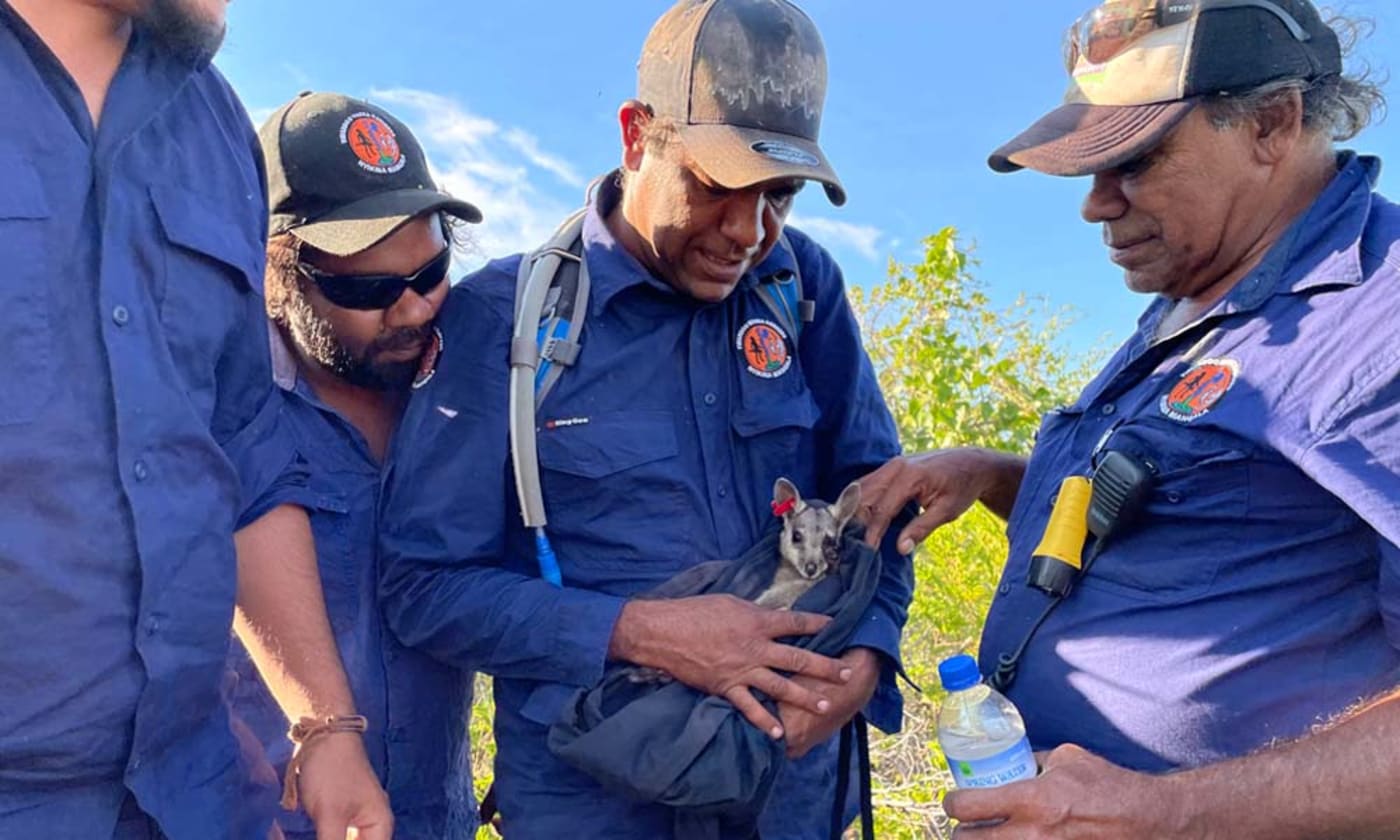 In photos: Indigenous rangers and researchers use drones to survey and ...