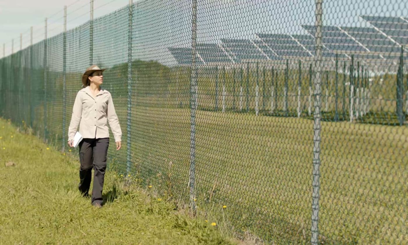 2020 Review: An unforgettable year for nature | WWF Australia