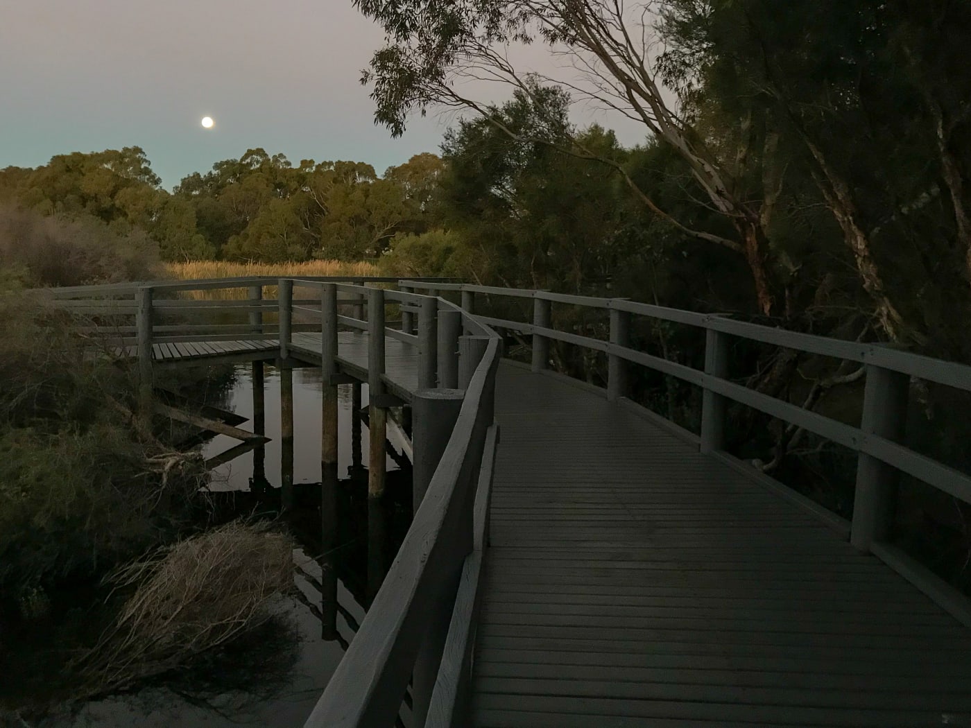 Virtual Family Bushwalk - Albert Park, VIC and Lake Gwelup, WA | WWF ...