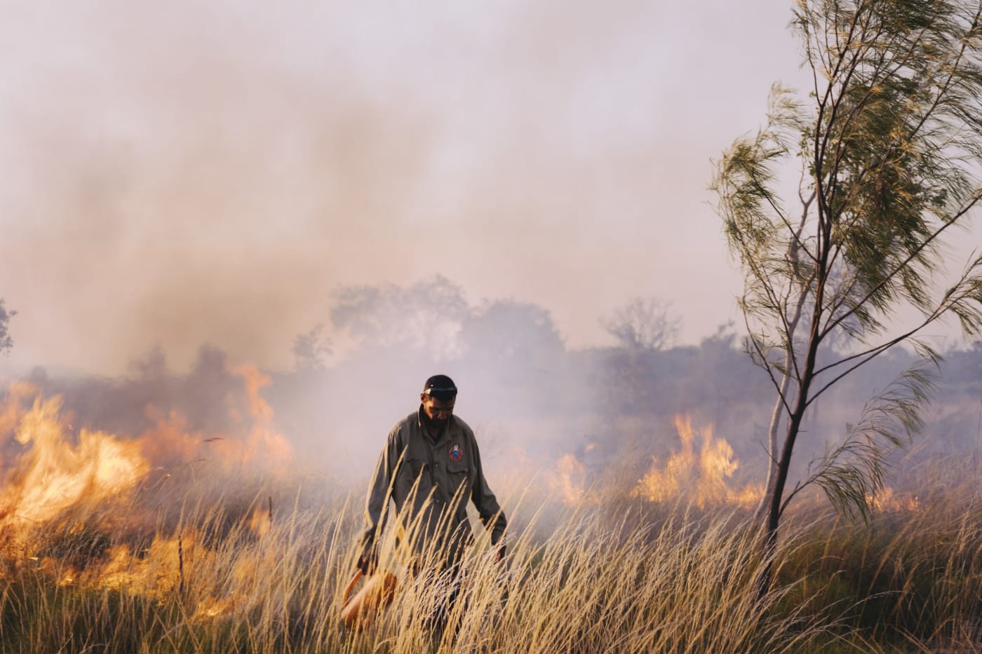 New study confirms Indigenous Fire Management equals success against ...