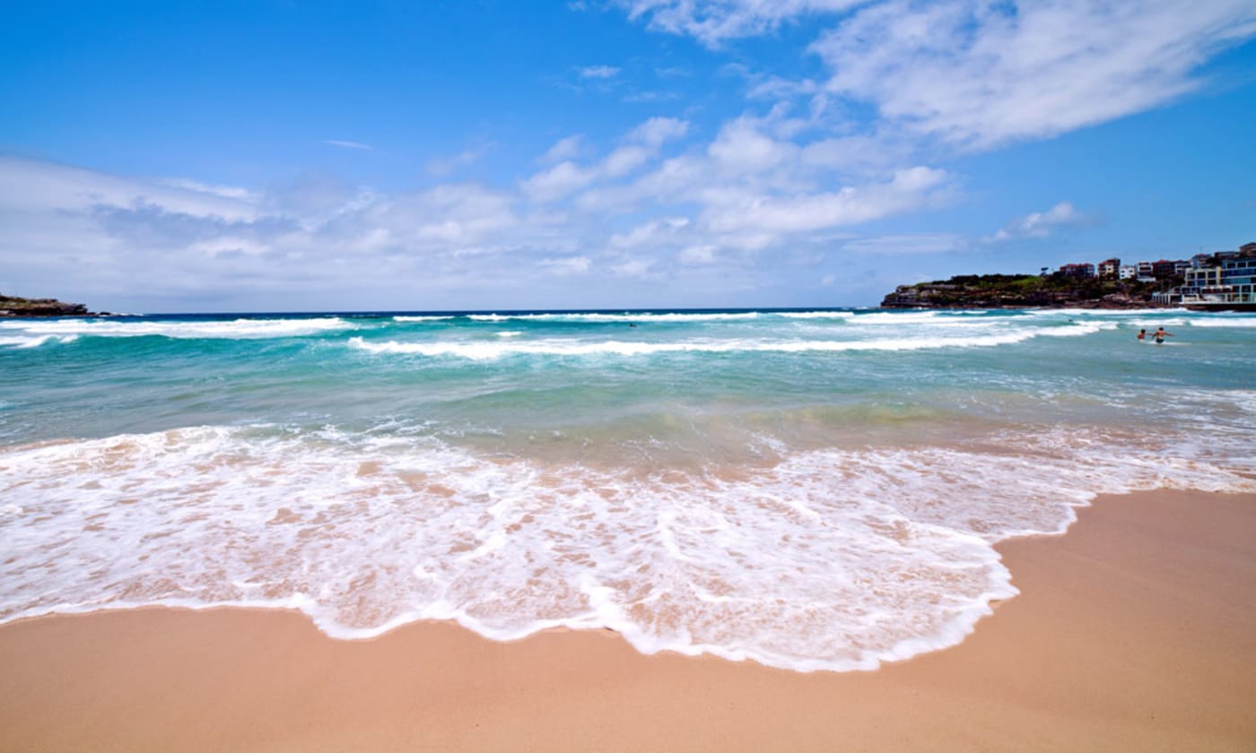 Oceans | WWF Australia