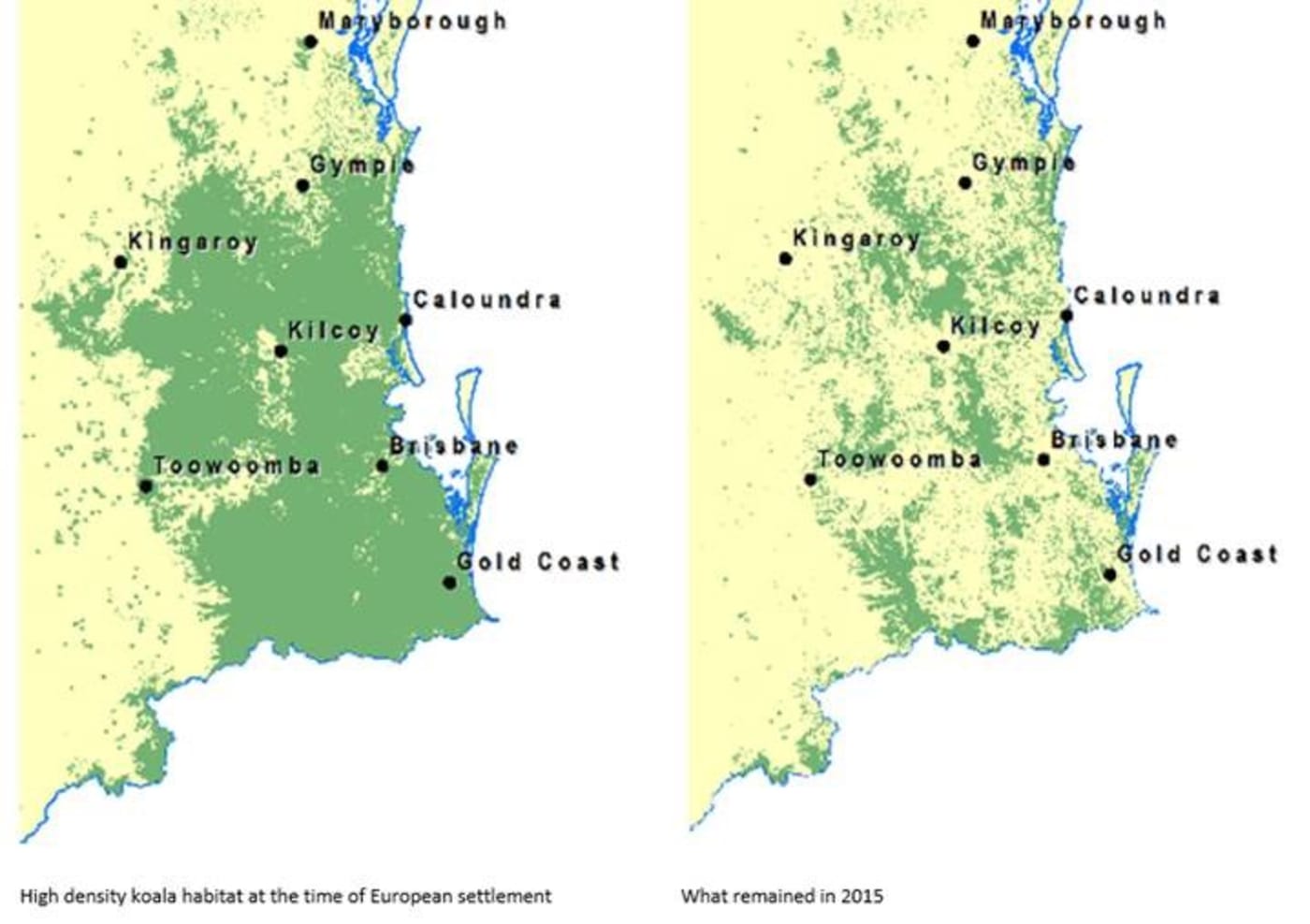 Map explains dramatic koala decline in Queensland - WWF Australia | Map ...