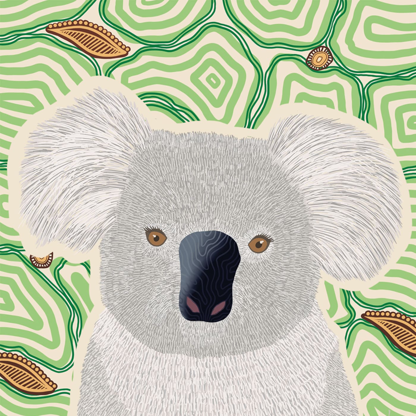 Koala - WWF-Australia | Koala | WWF Australia