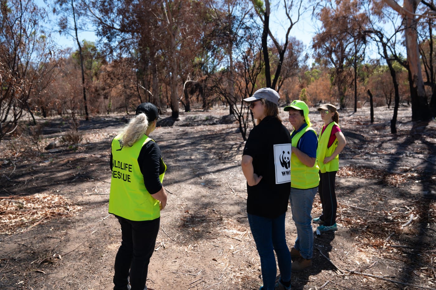Life after the 2020 bushfires for our Western Australia wildlife | WWF ...
