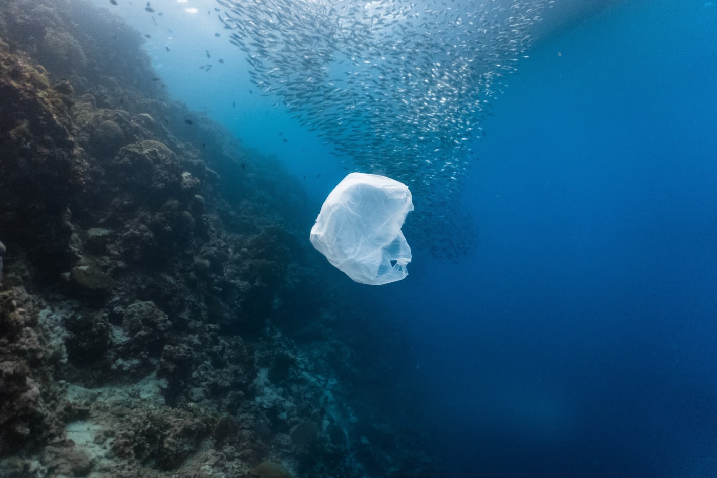 In photos: Drowning in plastics | In photos: Drowning in plastics | WWF ...