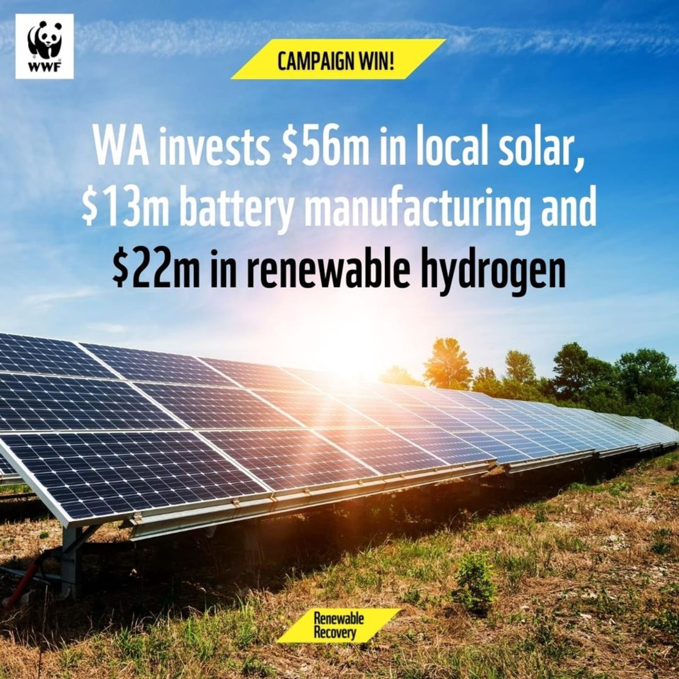 Renewable Recovery wins worth celebrating - WWF-Australia | Renewable ...