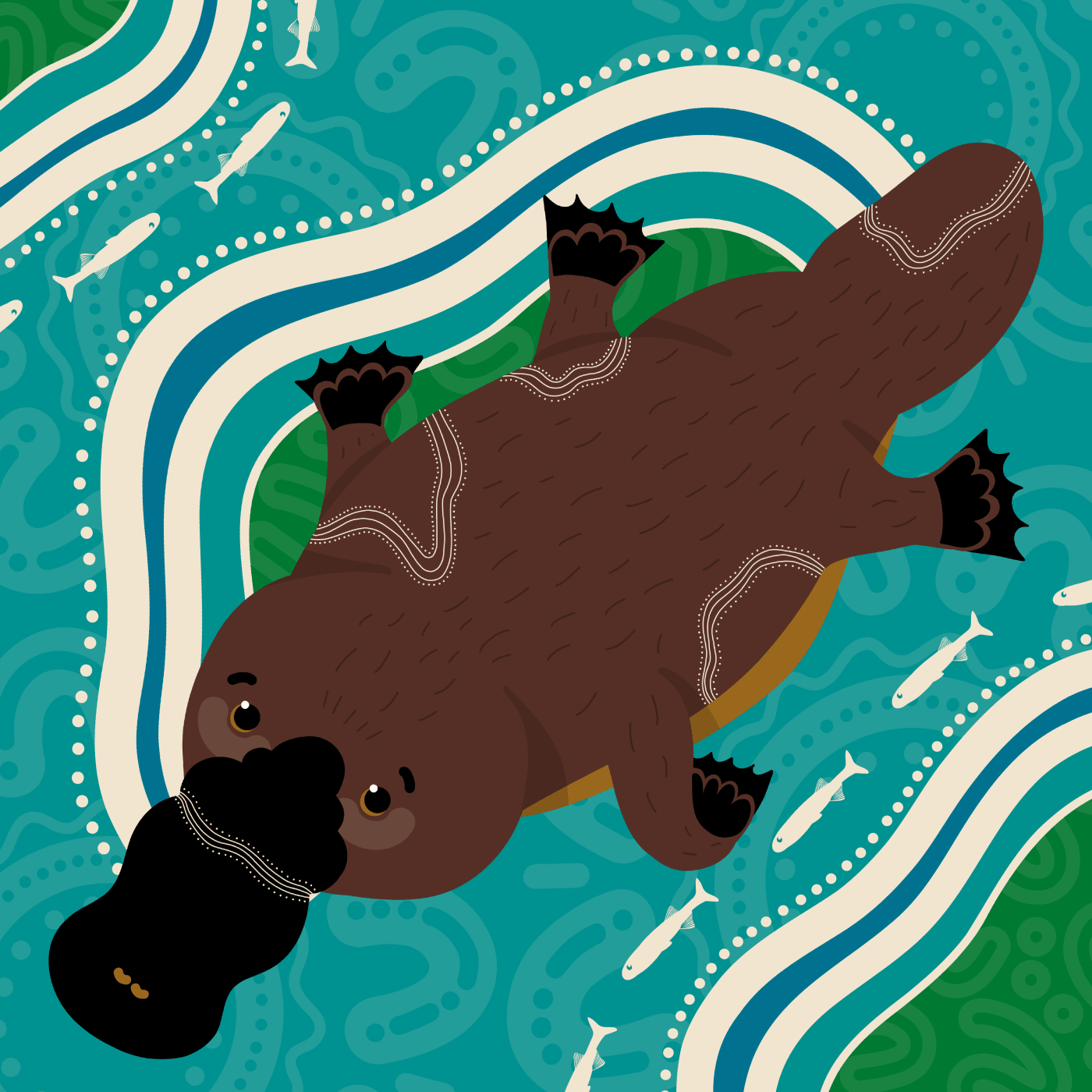 Indigenous Platypus Art Wallpapers | WWF Australia