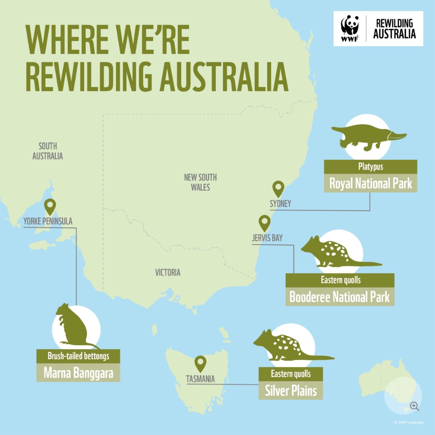 Rewilding Australia - WWF-Australia | Rewilding Australia | WWF Australia