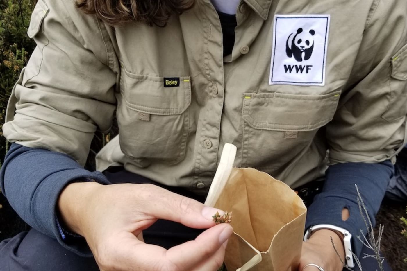 The Art of Finding Flora - A day in-the-field for the Survive and ...