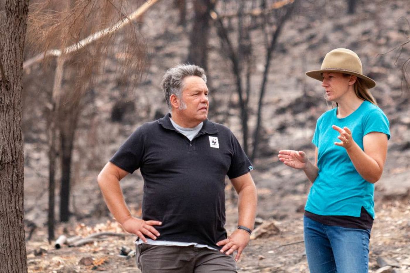 Hope for the glossy black cockatoo – WWF-Australia | Hope for the ...