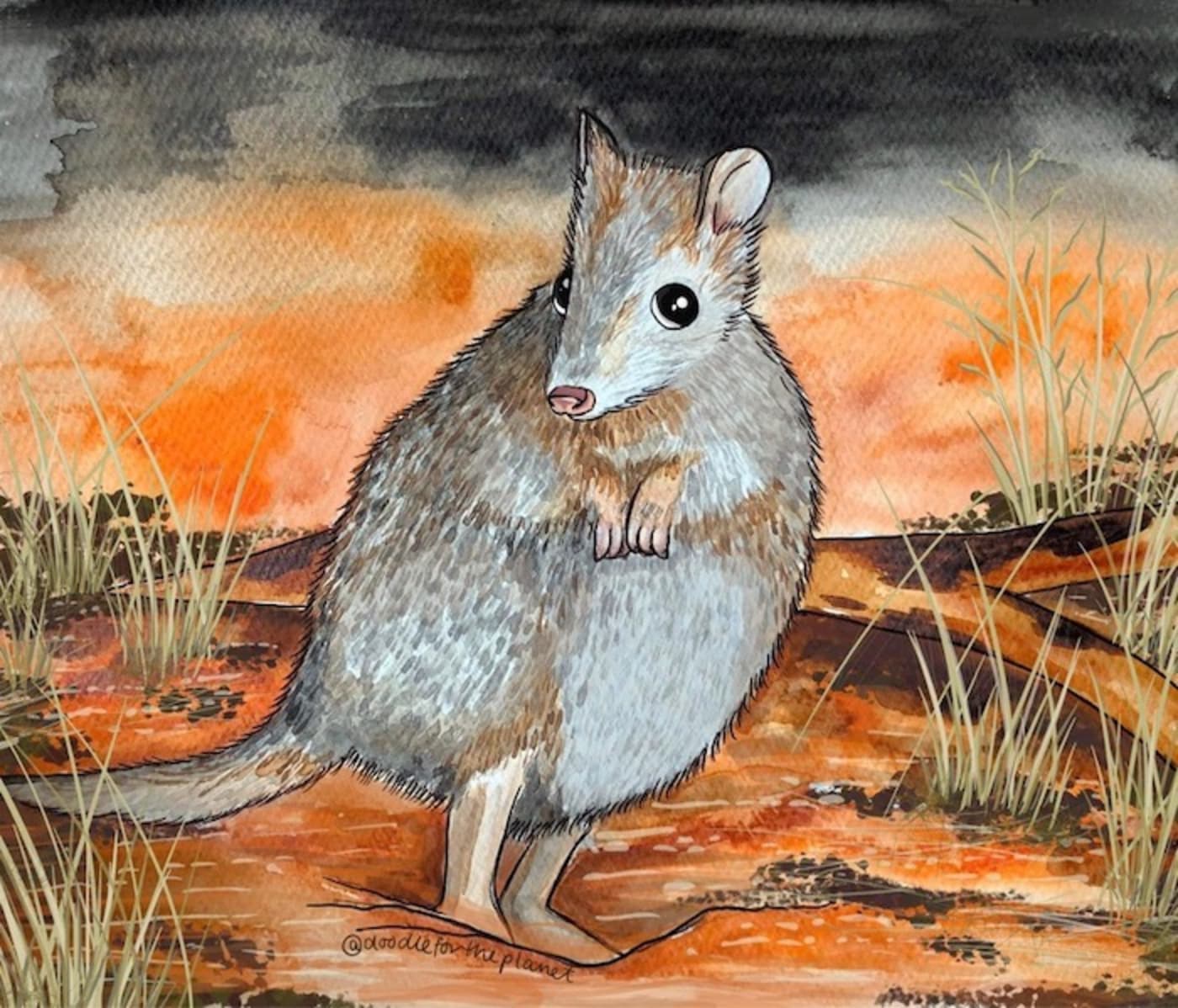 A brush-eyed view: Endangered Species Day in art | WWF-Australia | A ...