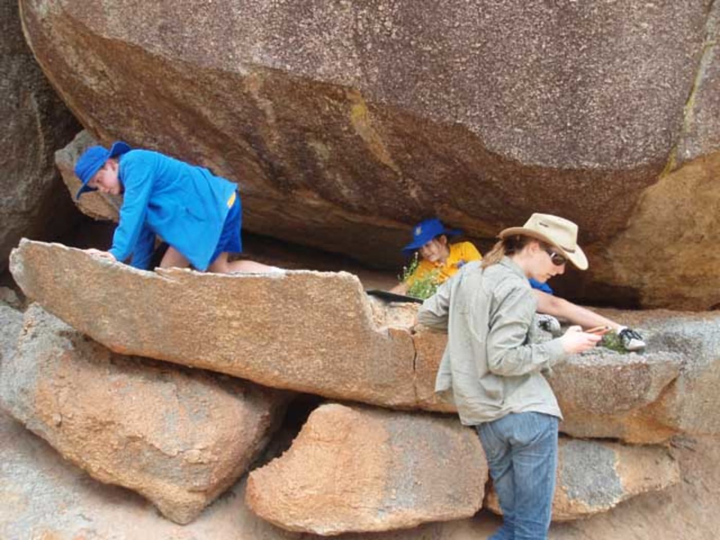 Students join the fight to save threatened rock-wallabies - WWF ...