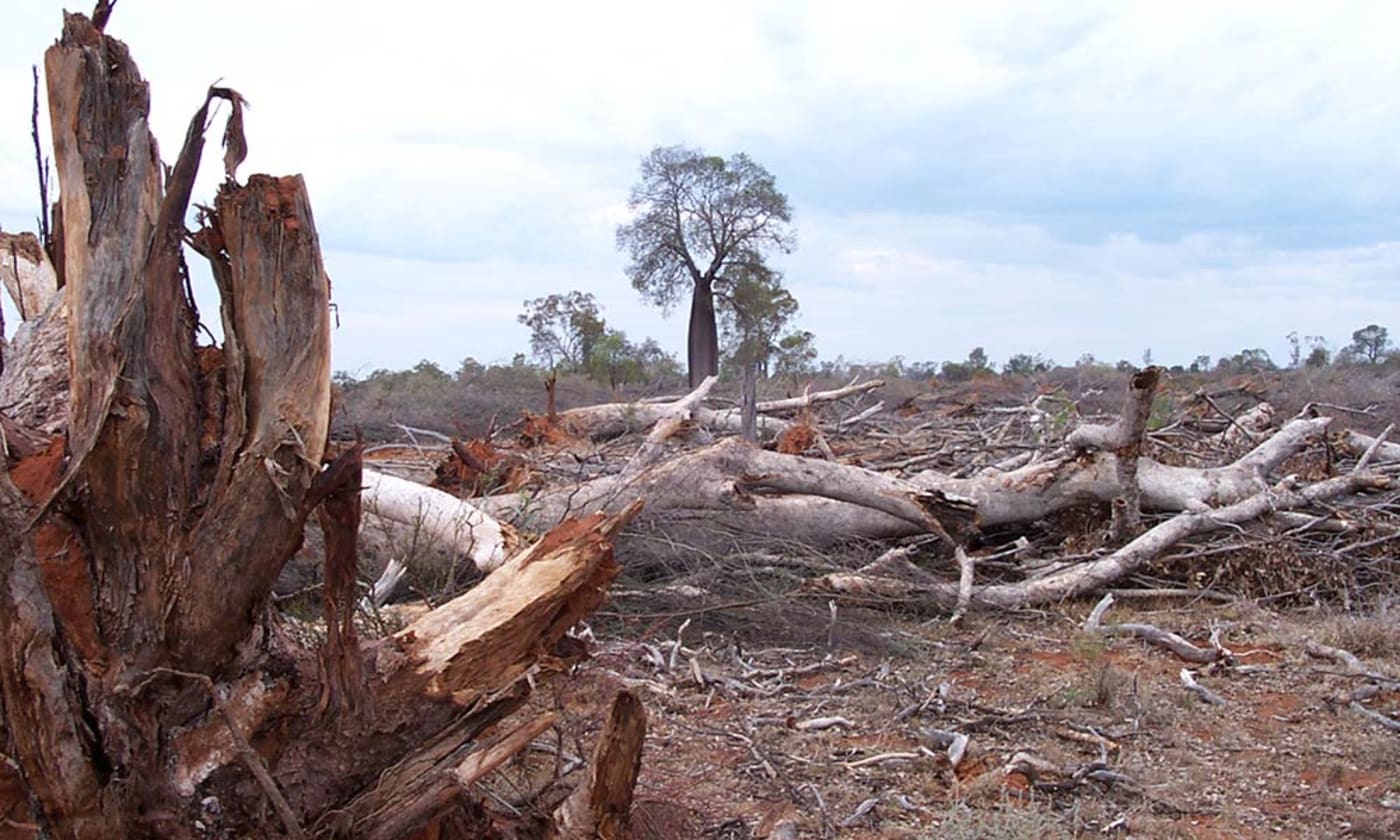 Extinction: Is this just a disappearing Act? | WWF-Australia ...