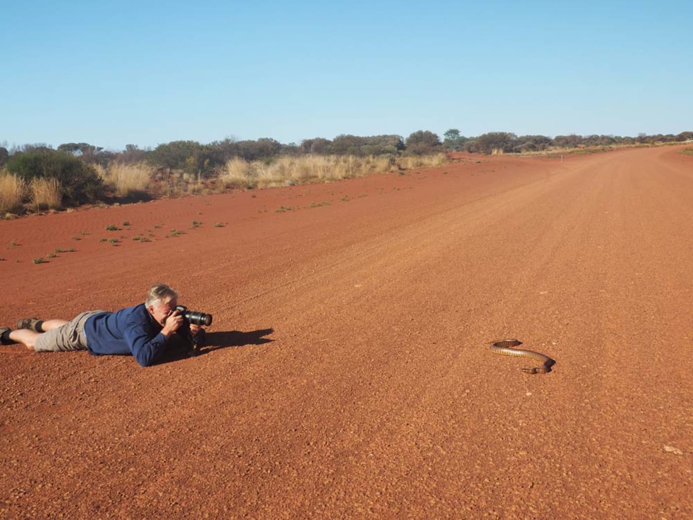 In search of warru in the Central Ranges of Western Australia - WWF ...