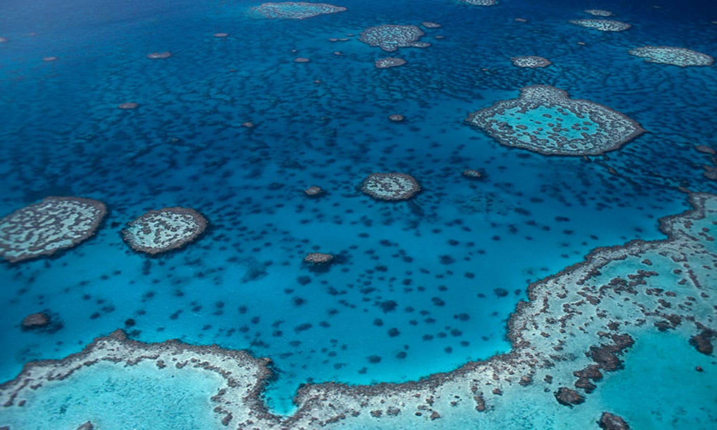 Great Barrier Reef | WWF Australia