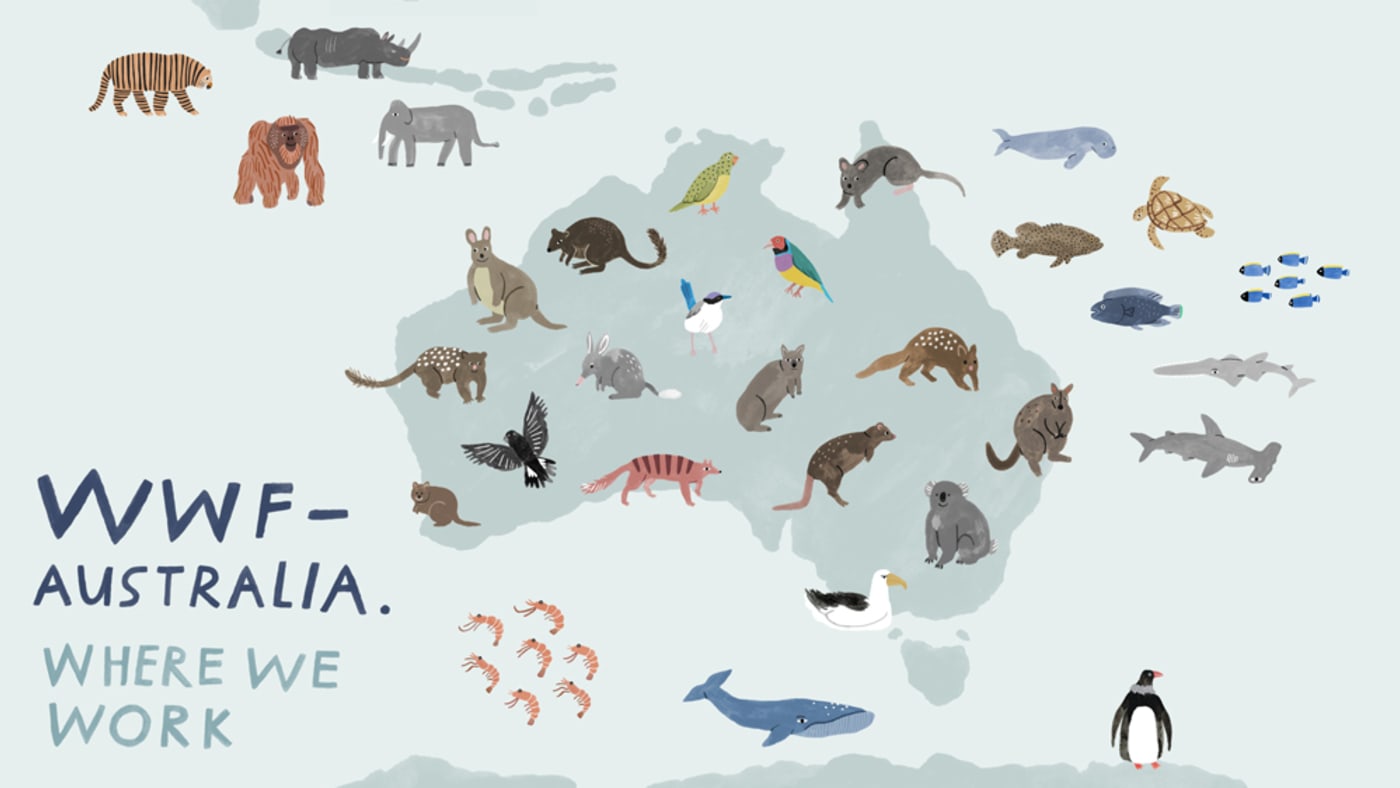 An illustrated map of where we work – WWF-Australia | An illustrated ...