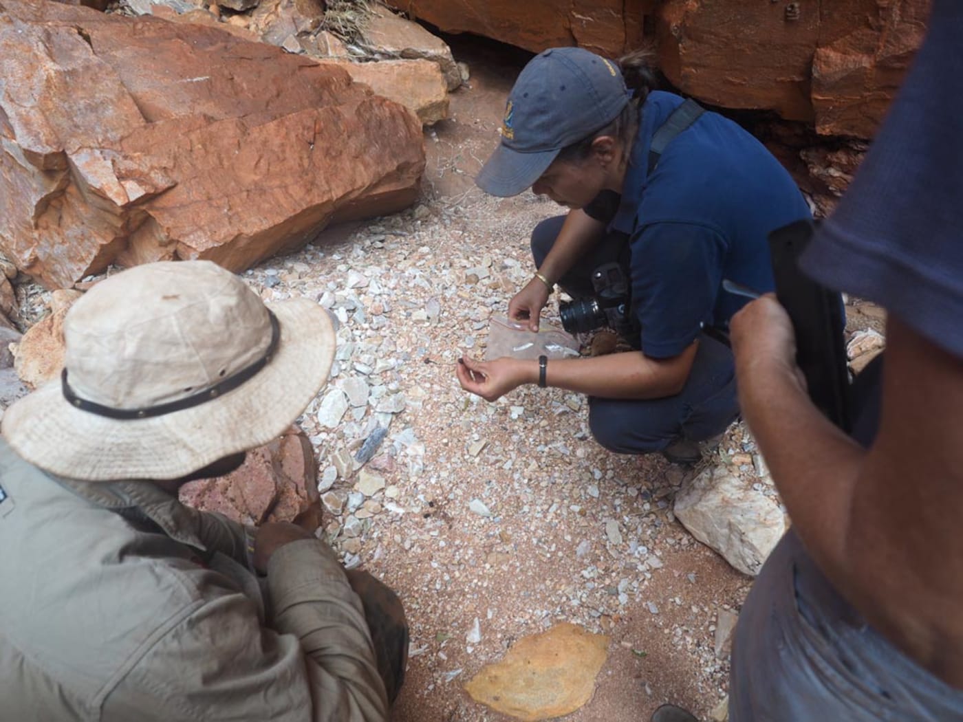 In search of warru in the Central Ranges of Western Australia - WWF ...