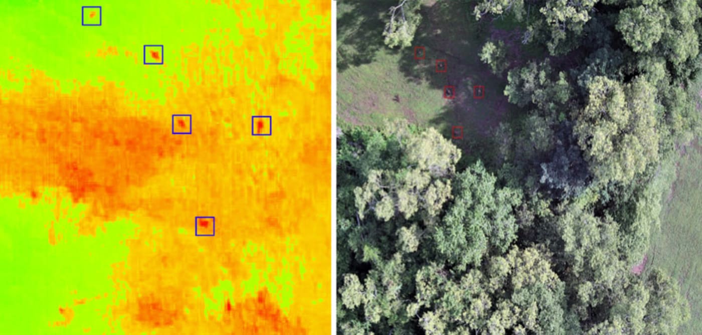 Taking conservation to new heights – WWF-Australia | Taking ...