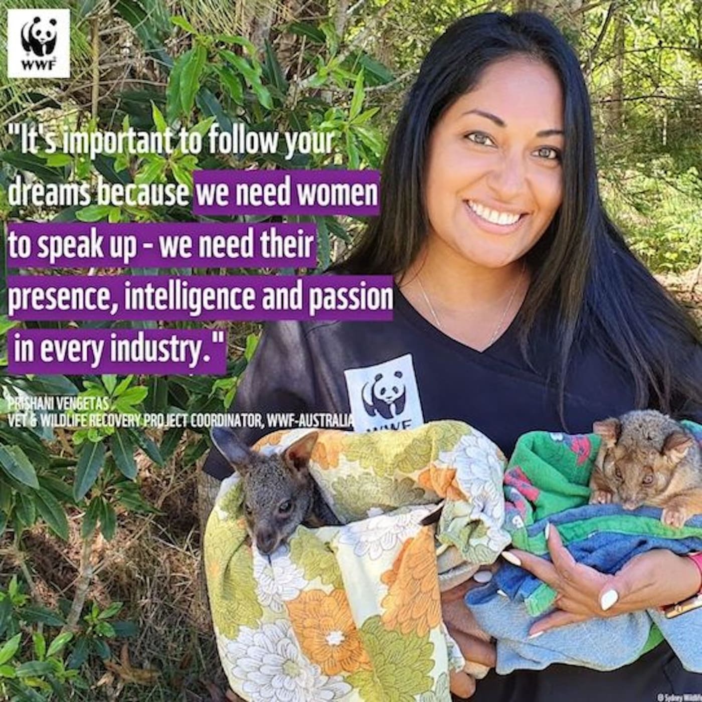 Celebrating the amazing women at WWF-Australia this International Women ...
