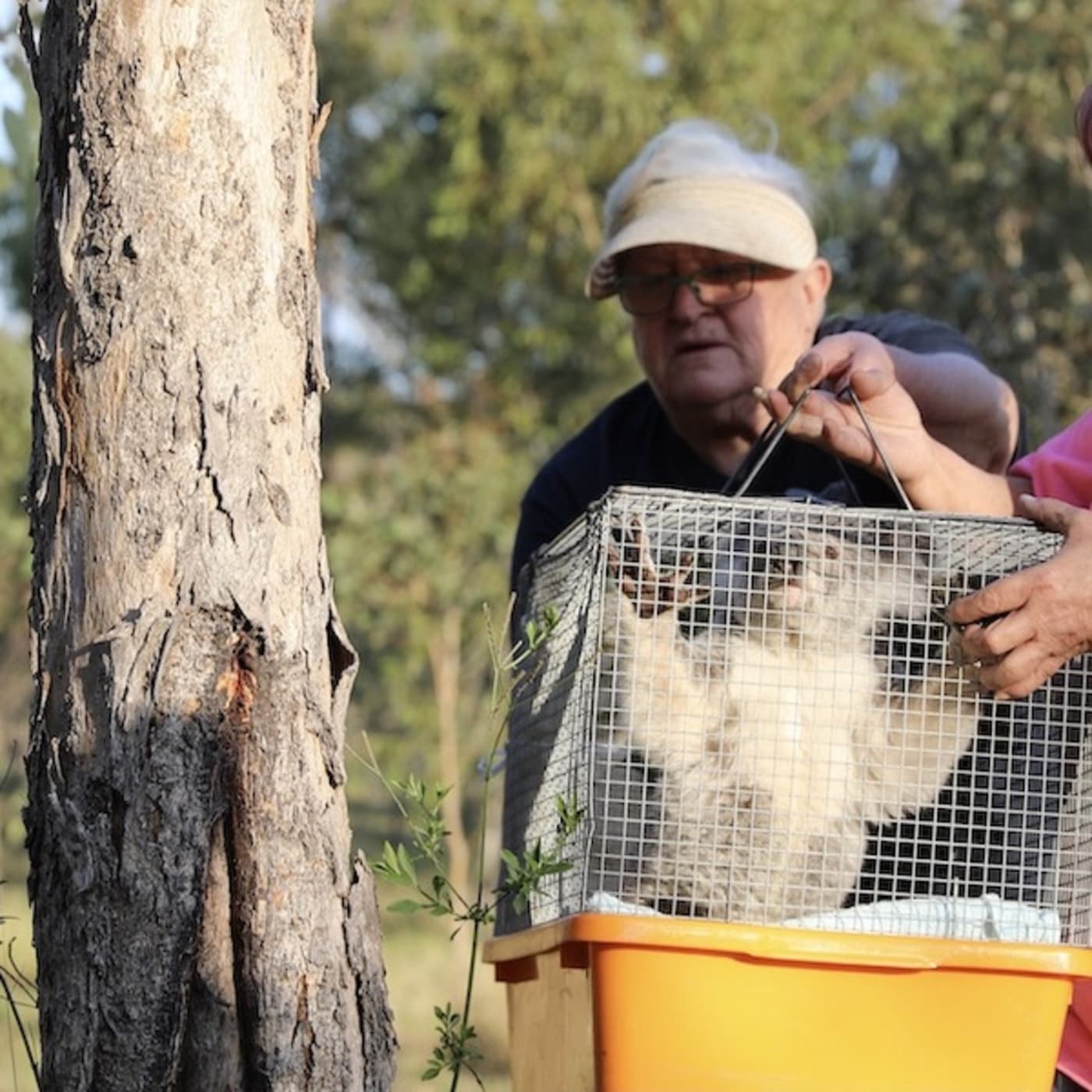 From floods to freedom: Raine’s journey | WWF-Australia | From floods ...