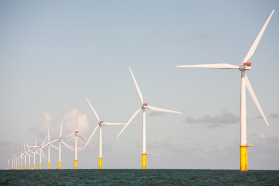 Fact check: the truth about whales and wind farms | WWF Australia