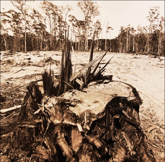 5 Culturally-Significant Sites in NSW: Their history and future under ...