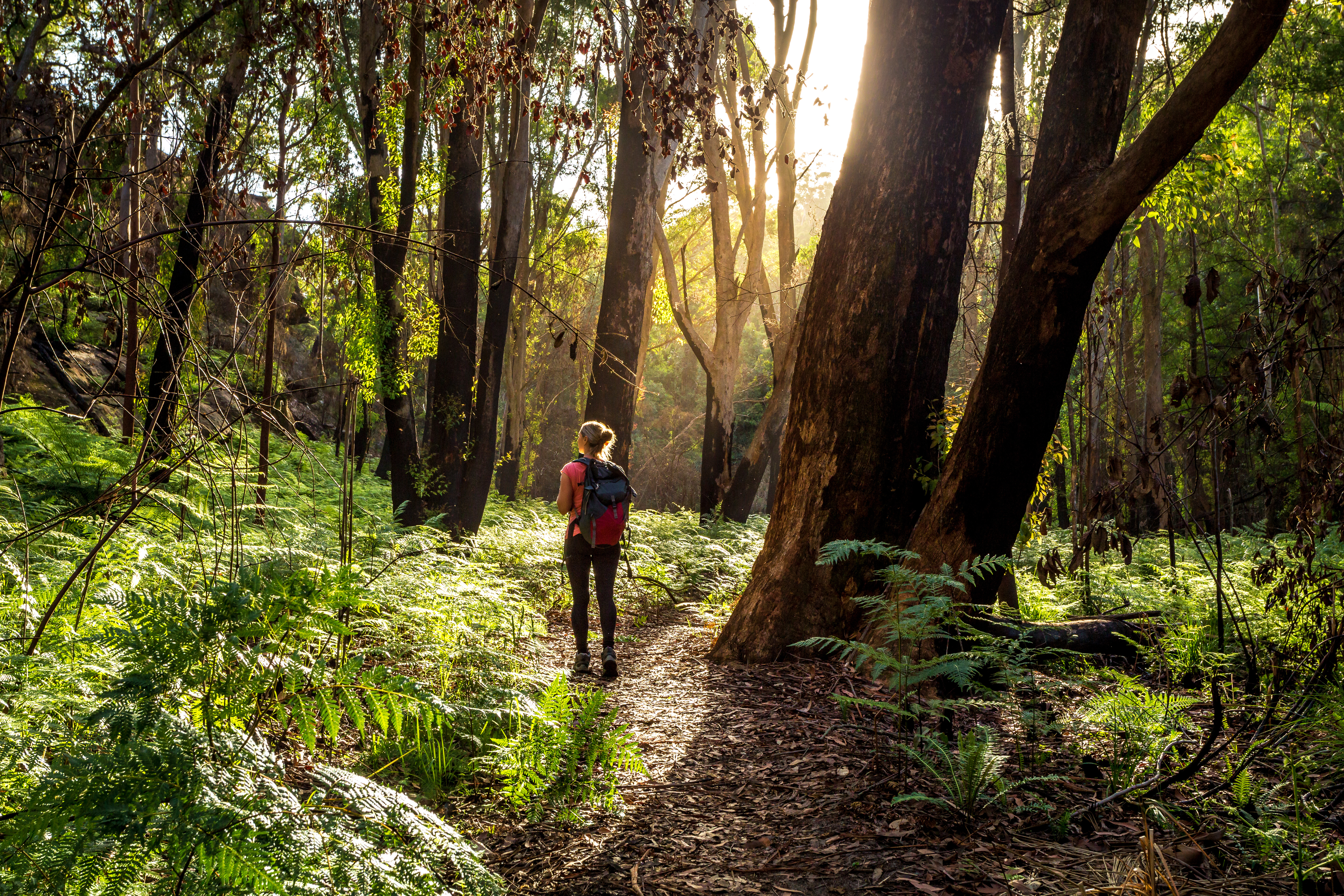 10 must-see nature spots around Australia | 10 must-see nature spots ...