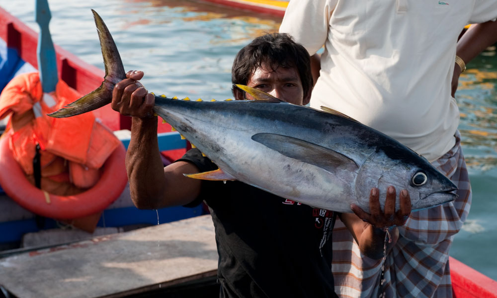 John West Australia takes bold action to support sustainably sourced ...