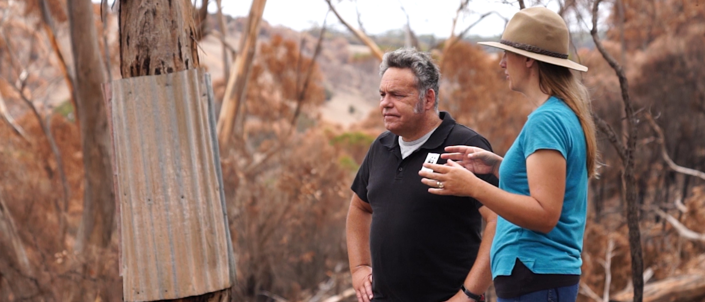 Our bushfire recovery partners - WWF-Australia | Our bushfire recovery ...