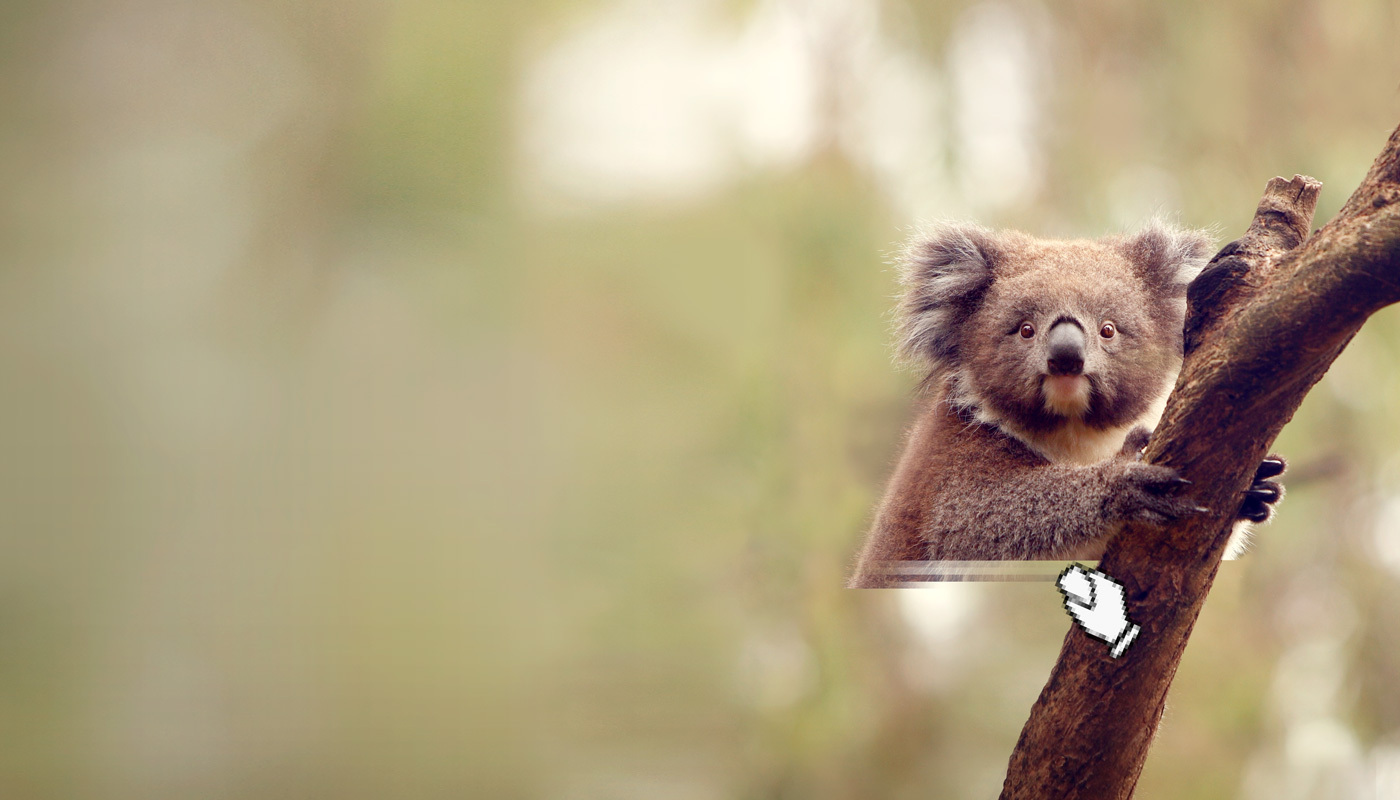 Environment bill is a recipe for extinction, warns WWF | Environment ...