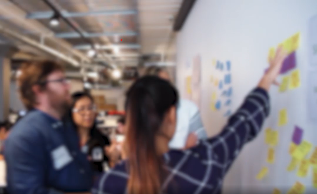 Panda Labs - WWF-Australia | Panda Labs | WWF Australia