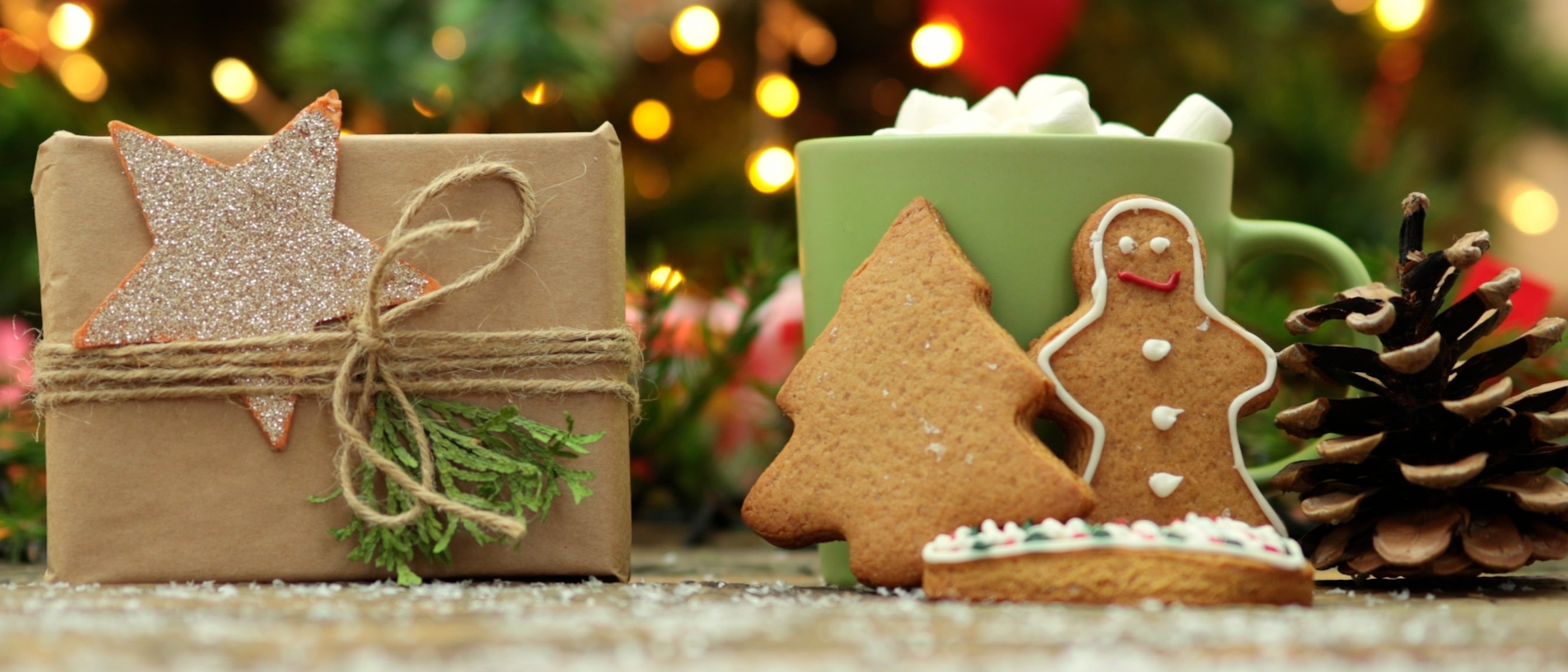 Sustainable Christmas and New Year - WWF-Australia | Sustainable ...